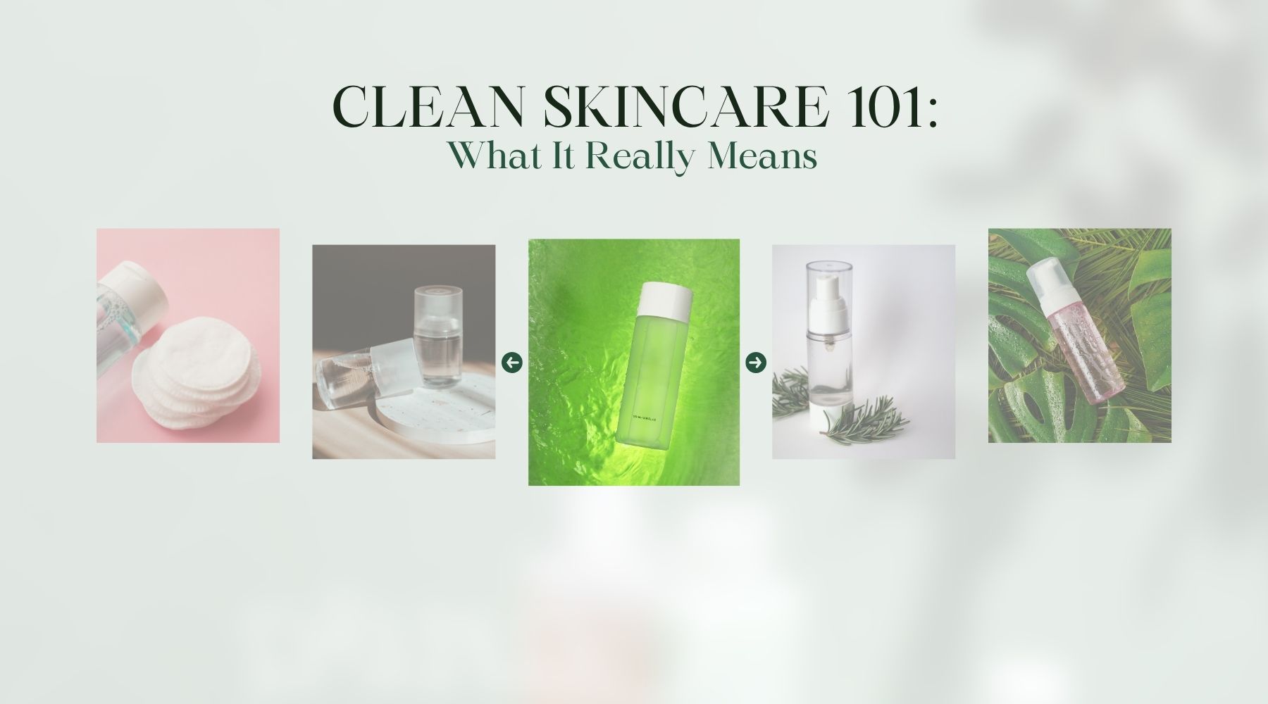 Clean Skincare 101 | What Clean Beauty Really Means – ZAKURA GLOBAL